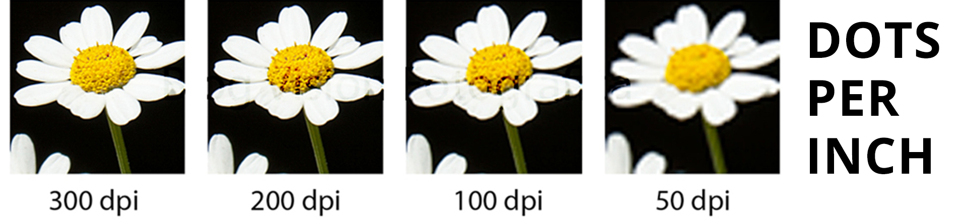 DPI v tisku – co se vyplatí znát? - Justprint.cz Blog